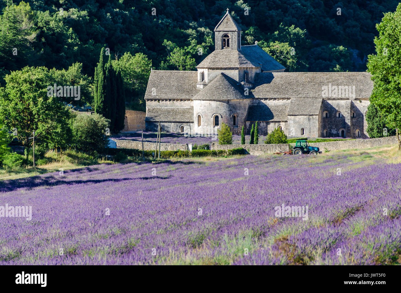 ABBAYE DE SENANQUE, VAUCLUSE 84 FRANCE Stock Photo - Alamy