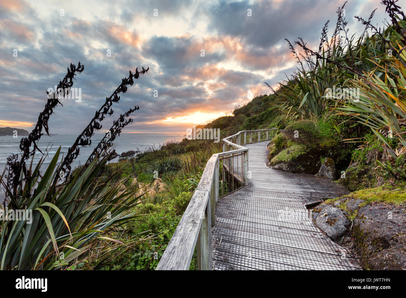 Evening at Cape Foulwind, Westport, New Zealand Stock Photo - Alamy