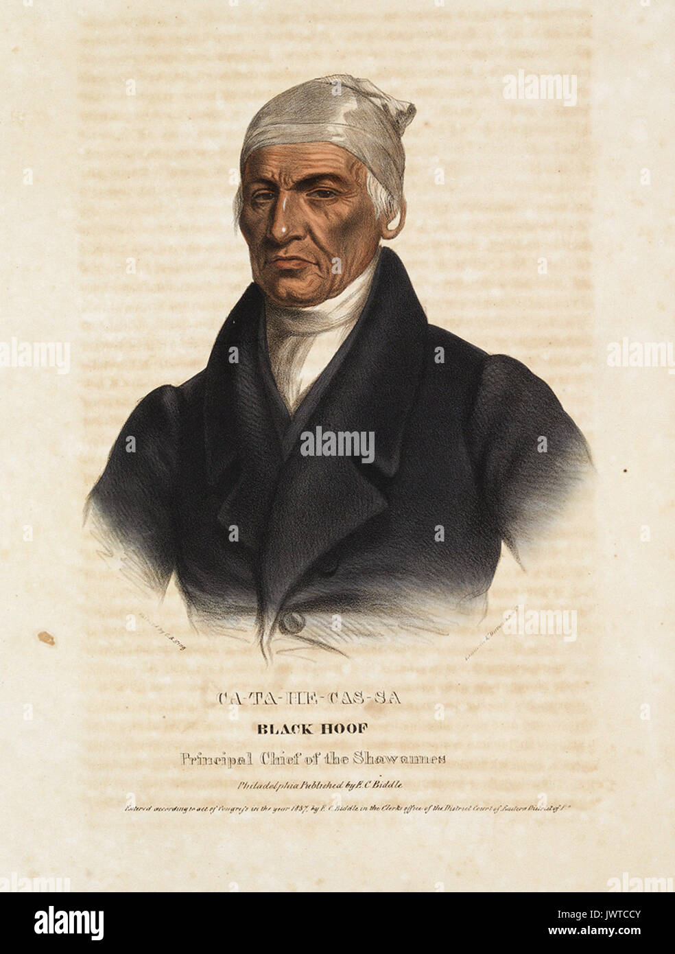 Black hoof hi-res stock photography and images - Alamy