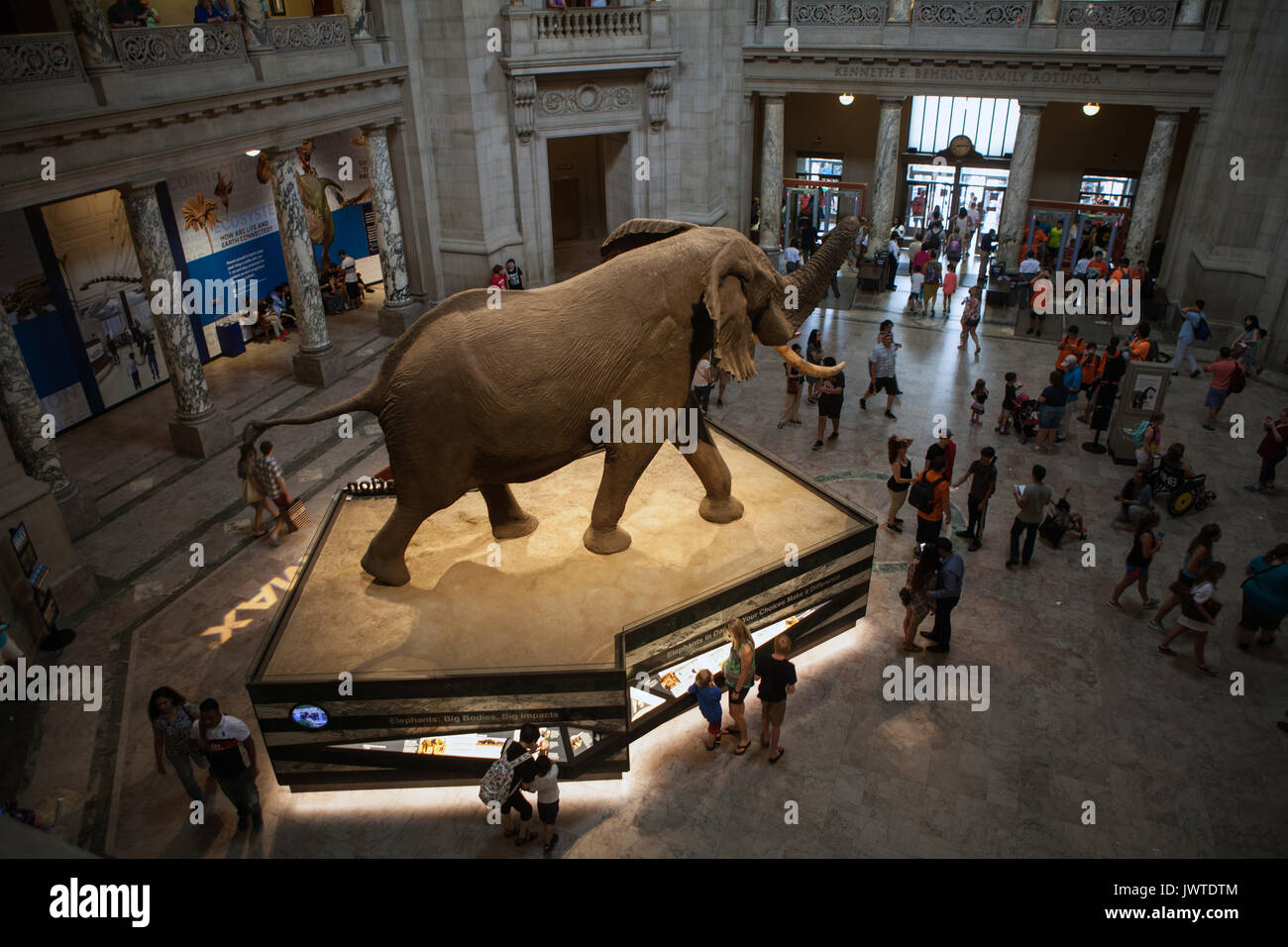 Treasures natural history museum hi-res stock photography and images ...