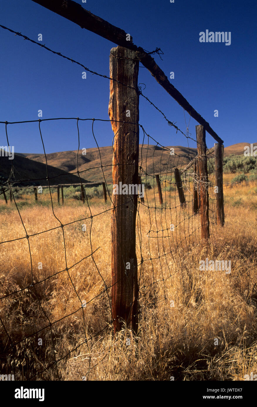 Wenas wildlife area hi-res stock photography and images - Alamy