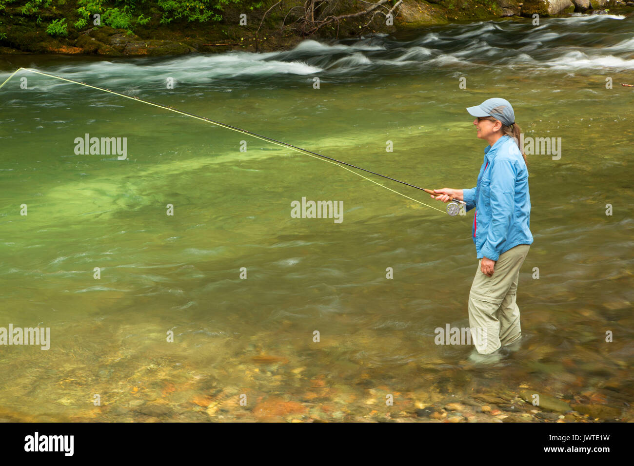 Fly fishing the Lewis River, Gifford Pinchot National Forest ...