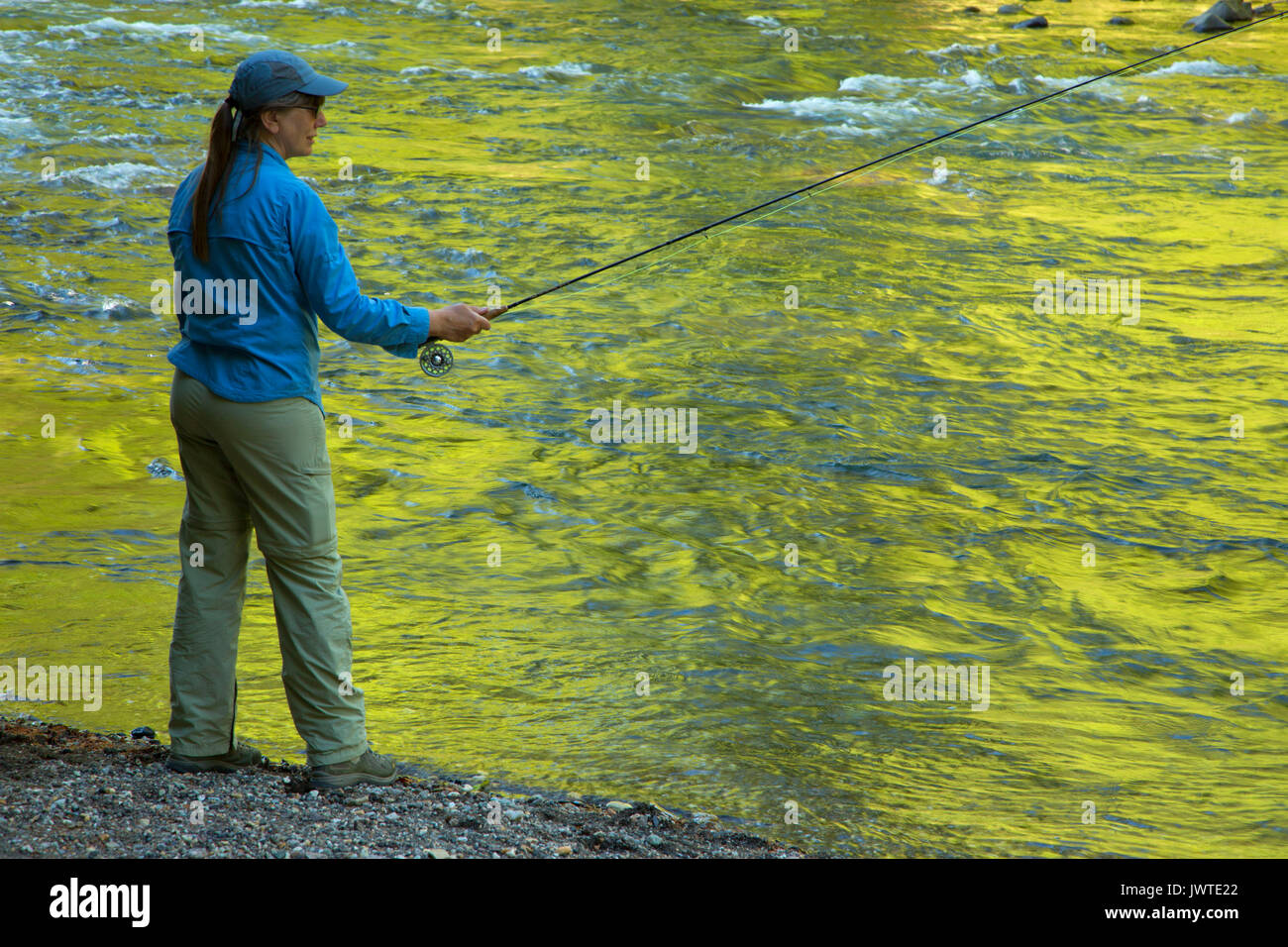 Fly fishing the Lewis River along the Lewis River Trail, Gifford ...