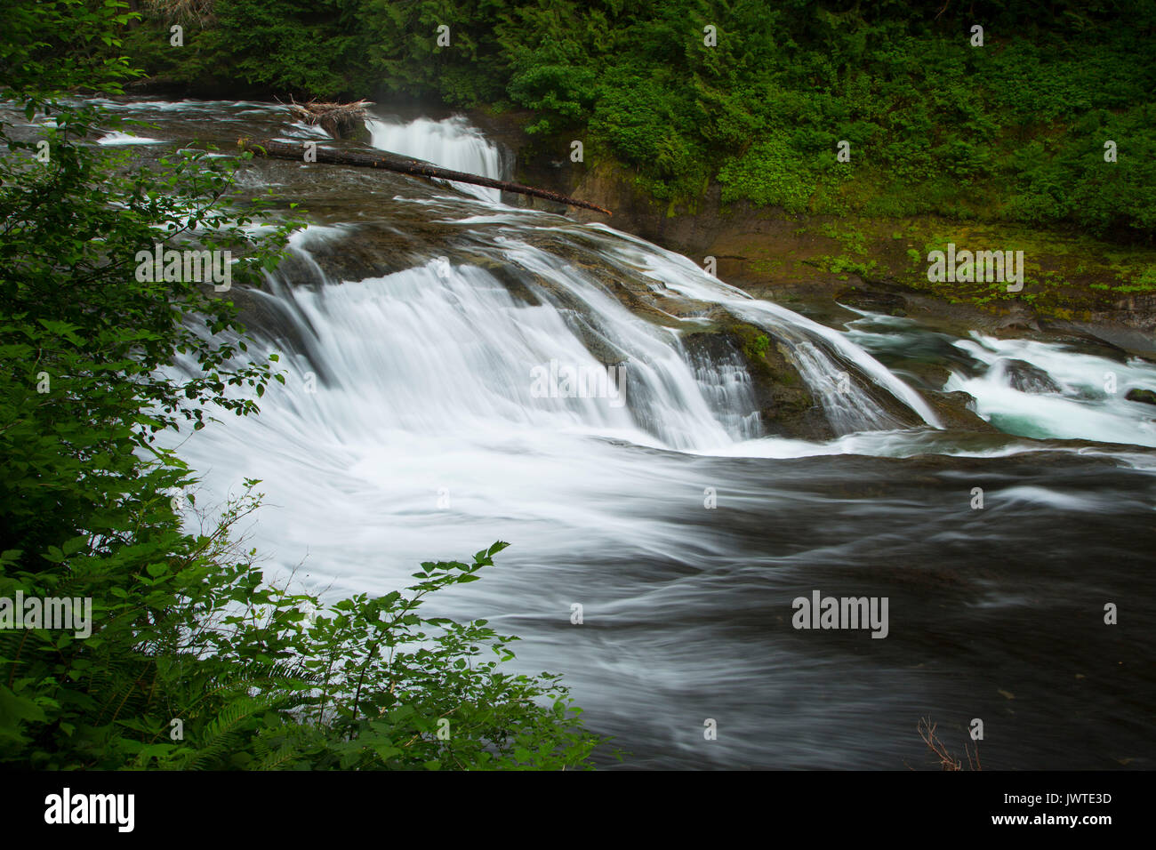 Gifford pinchot national forest hike hi-res stock photography and ...