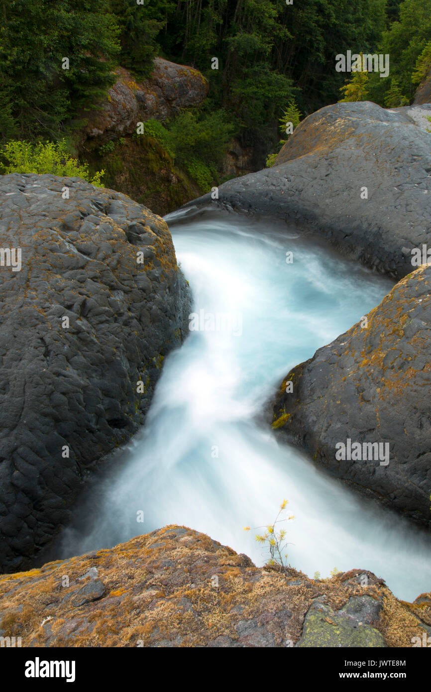 Lava Canyon along Lava Canyon Trail, Mt St Helens National Volcanic ...