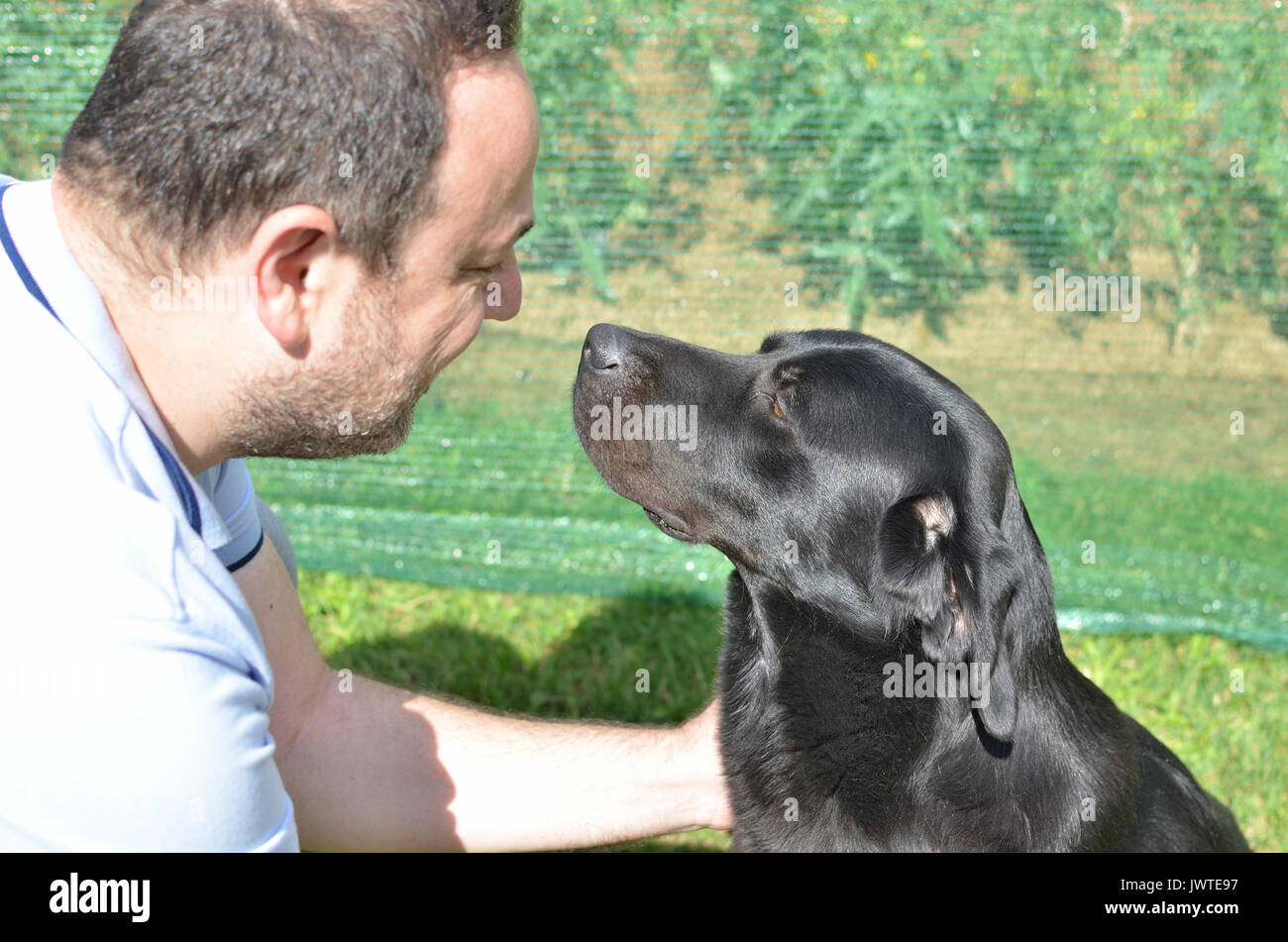 Man communicating with his best friend - black dog - who is showing ...