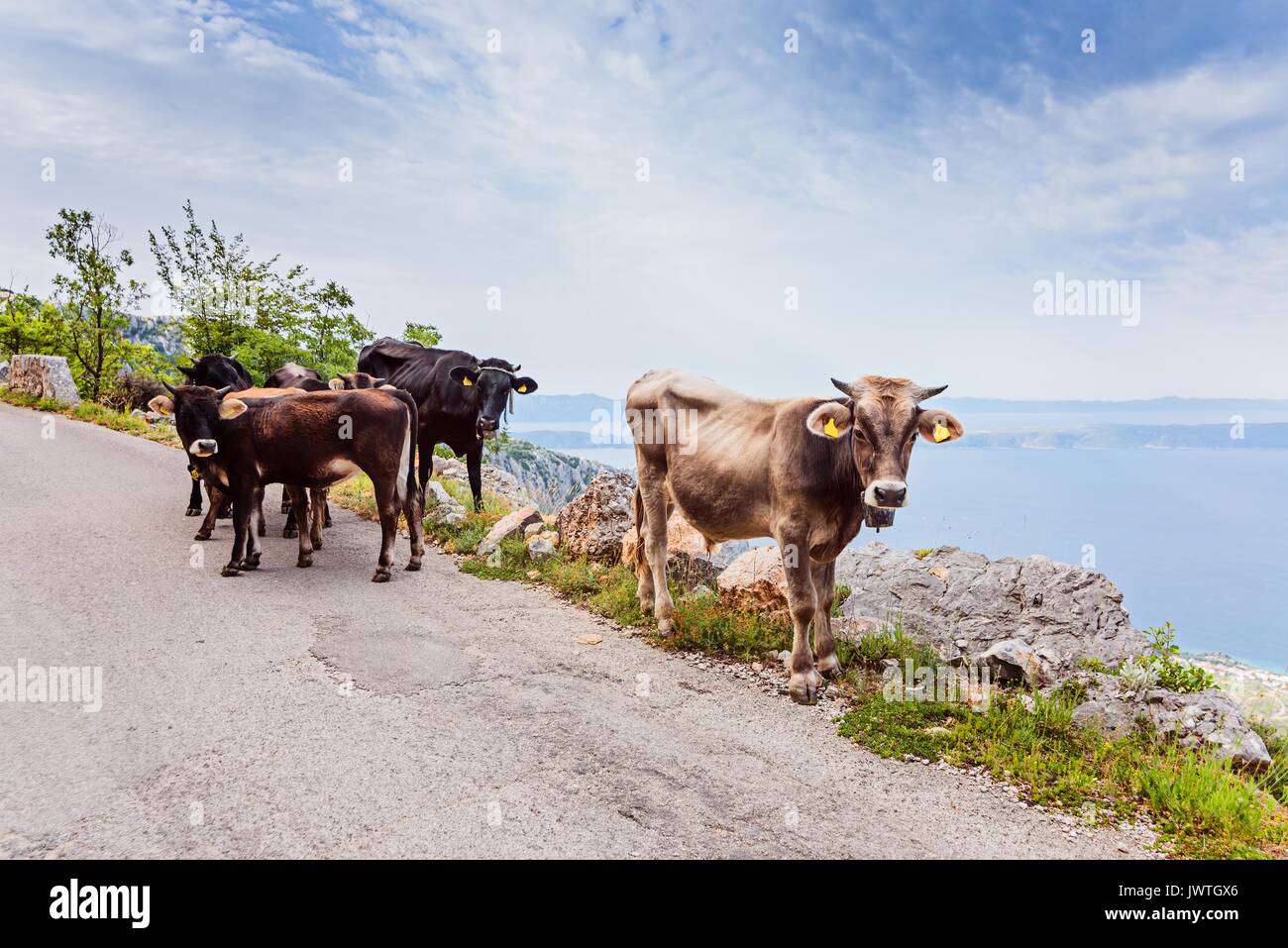 Sv Jure Stock Photos & Sv Jure Stock Images - Alamy