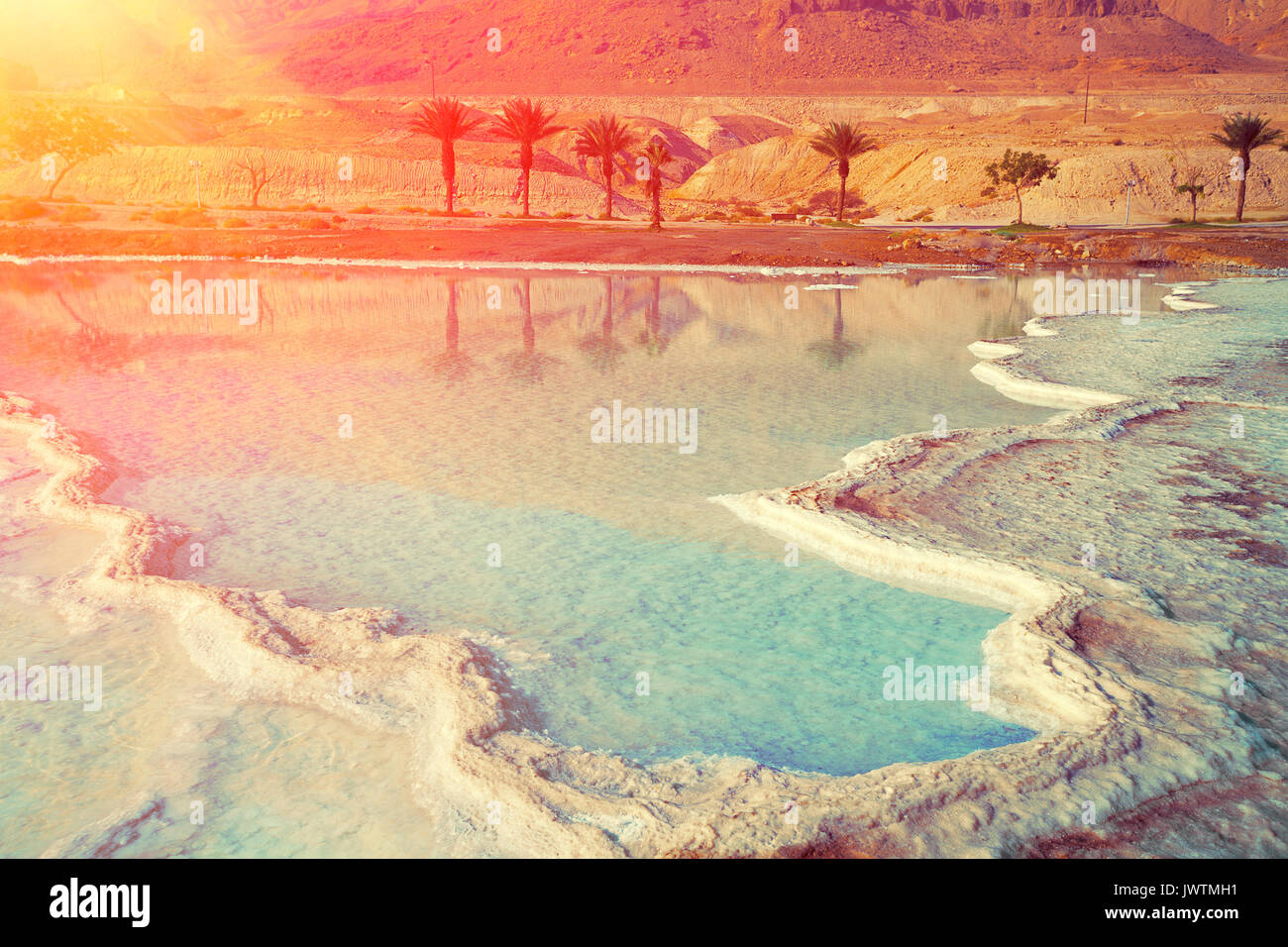 Dead sea salt shore. Palm trees on the shores of the Dead Sea Stock ...