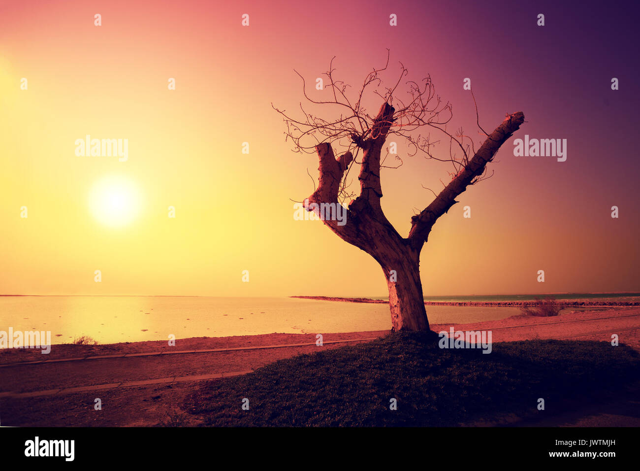 Desert Dead sea shore at sunrise Stock Photo - Alamy
