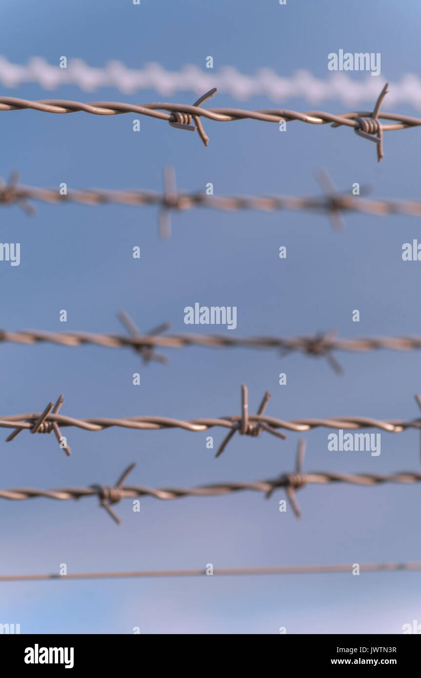 barbed wire at metal fence Stock Photo - Alamy