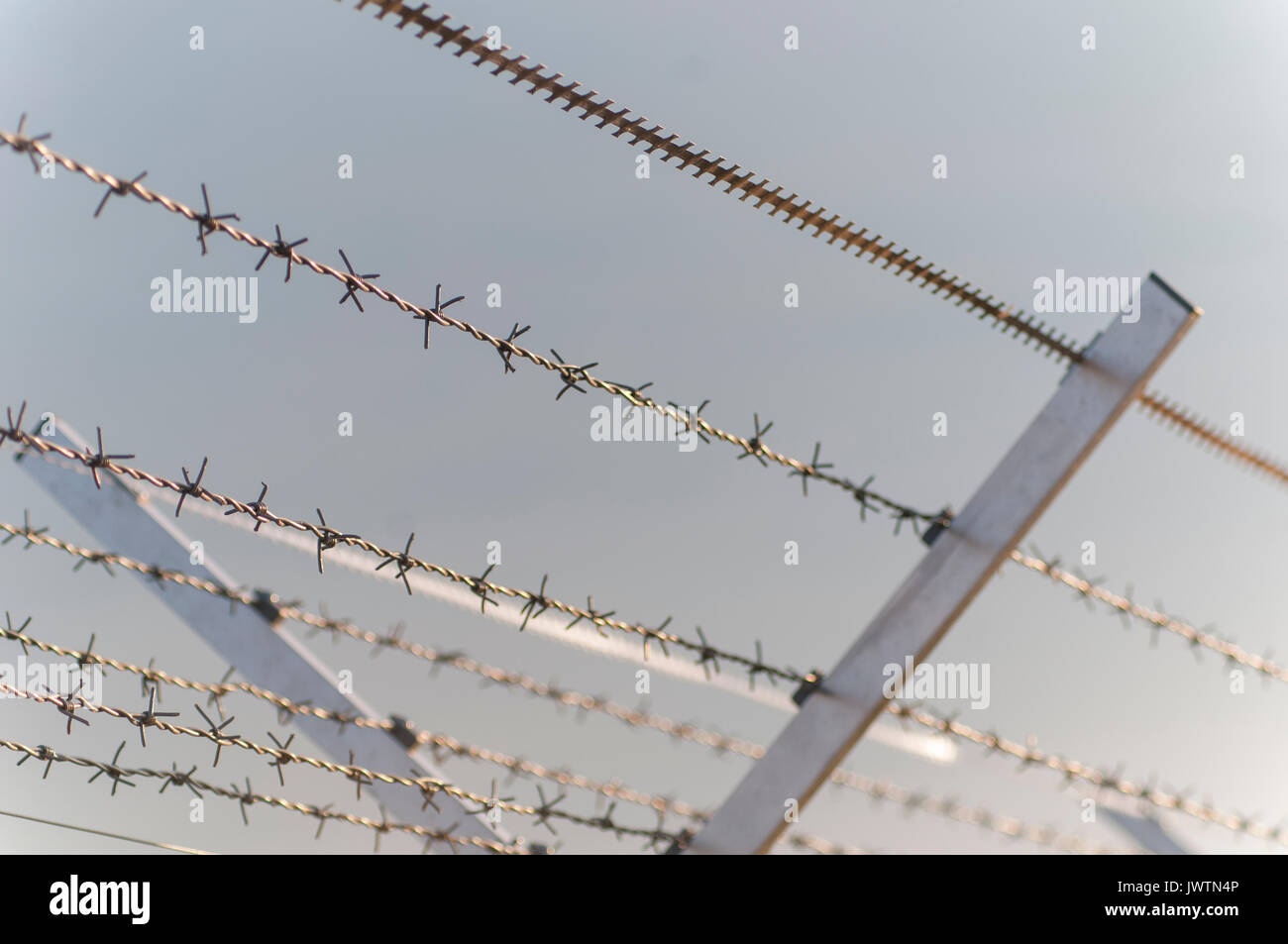 barbed wire at metal fence Stock Photo - Alamy