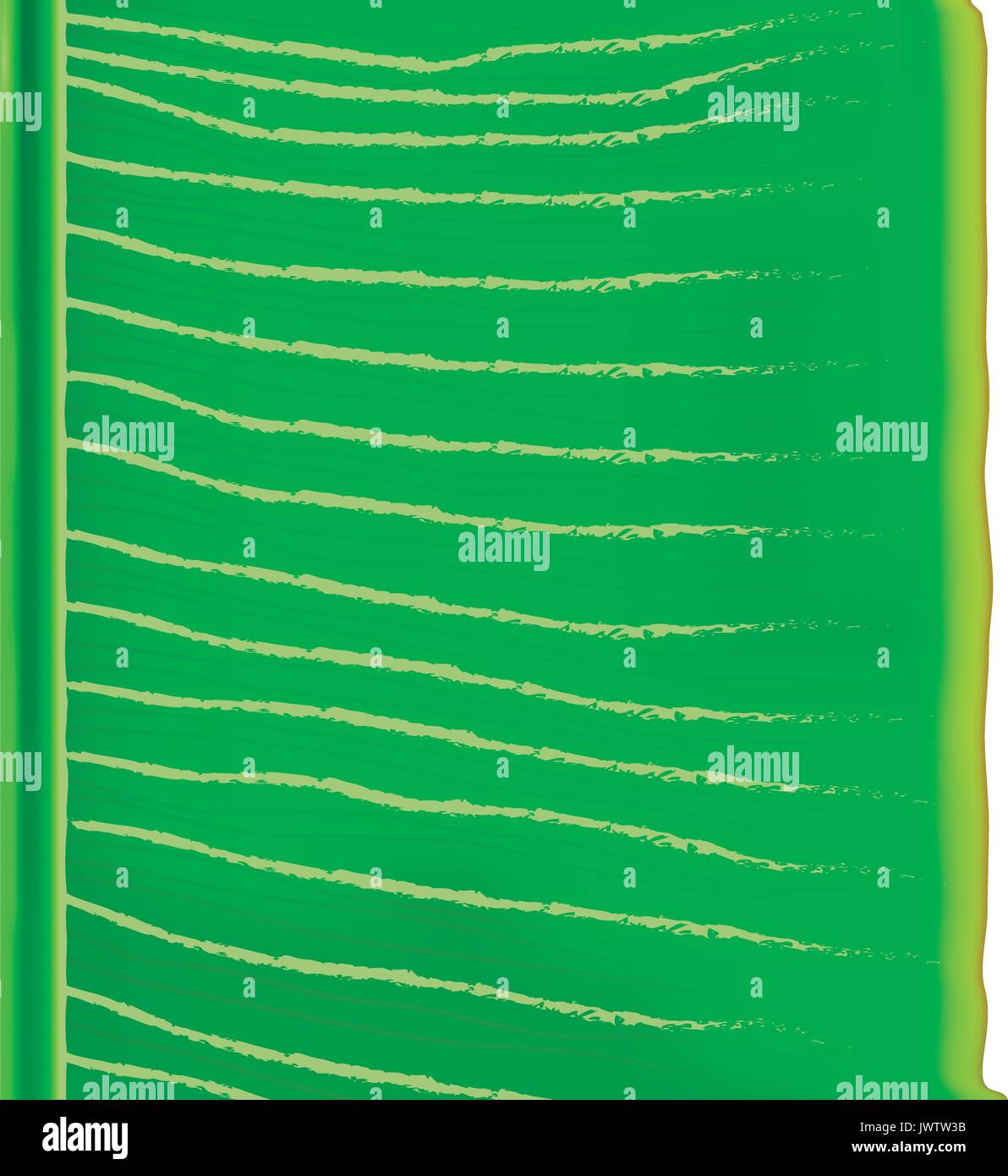 Tropical palm leaf close Stock Vector Images - Alamy