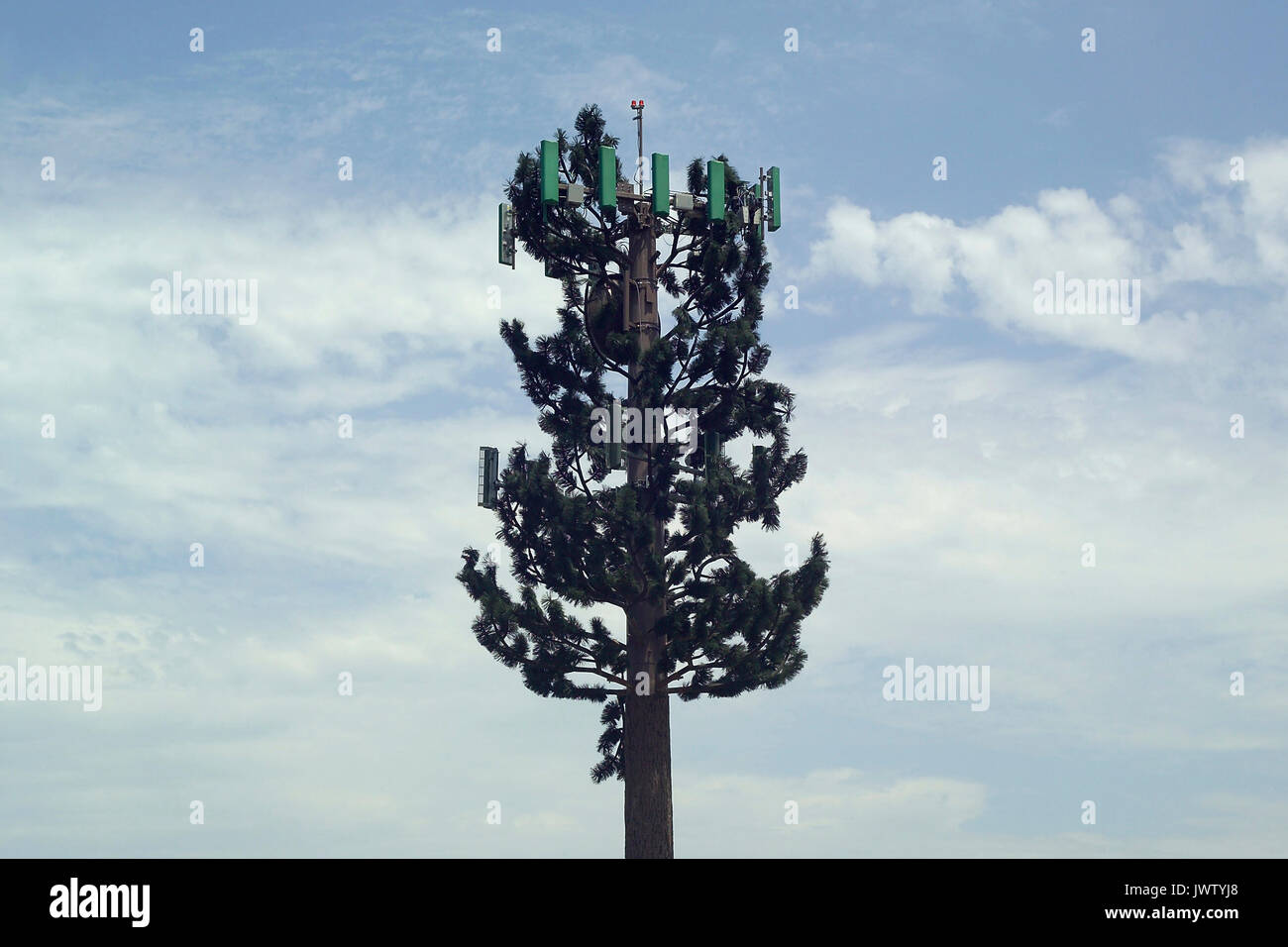 Cell tower tree High Resolution Stock Photography and Images - Alamy