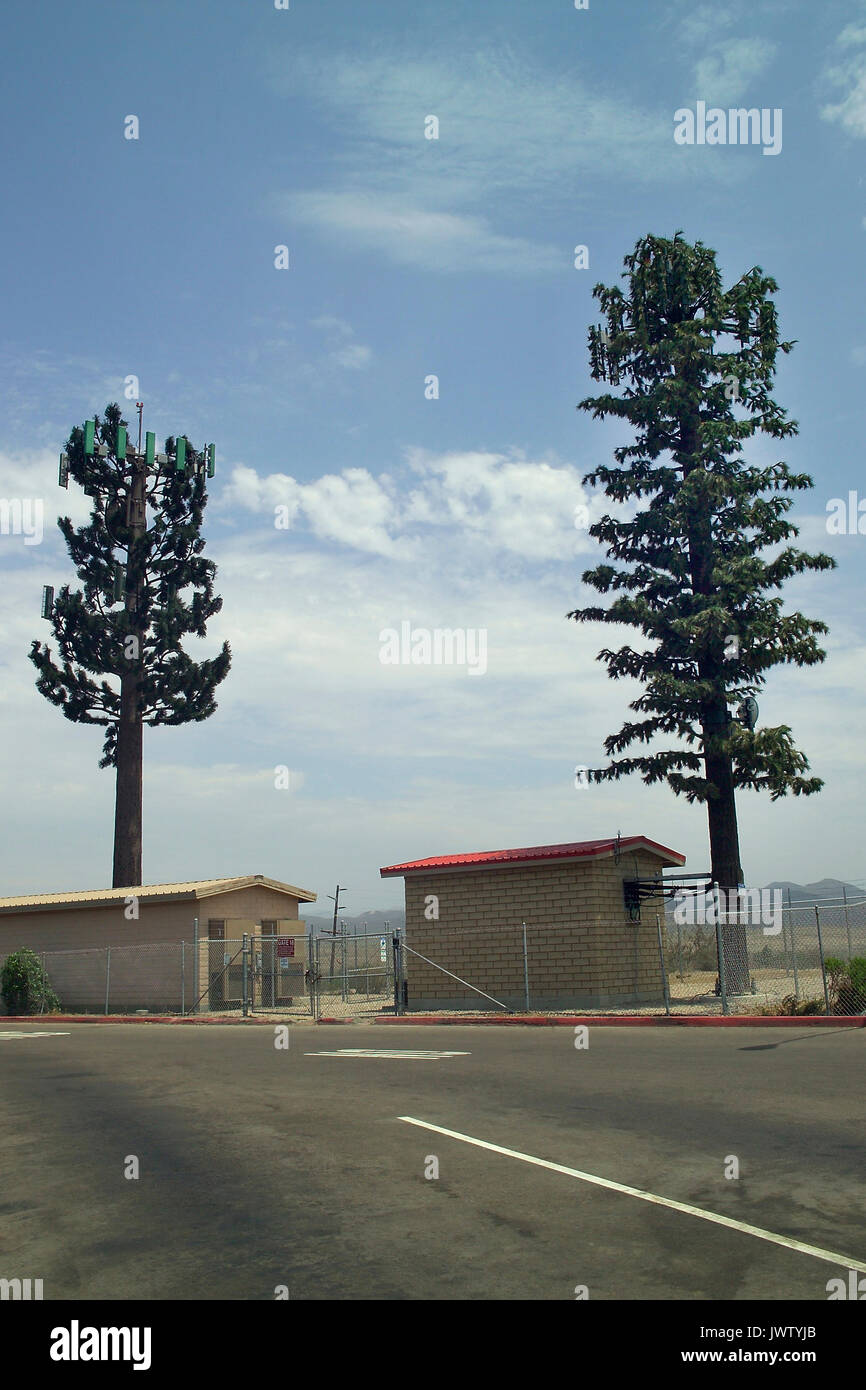 Cell tower tree High Resolution Stock Photography and Images - Alamy
