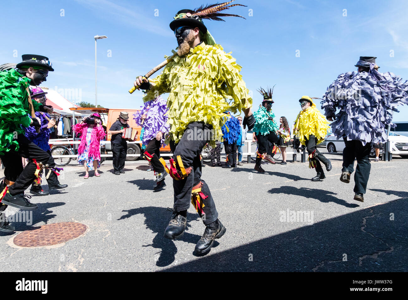 Traditional English folk dancers, Motley Morris team, dancing. Holding ...