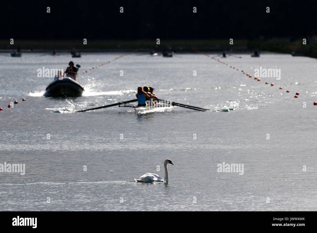 Peterborough Rowing Club Summer Regatta High Resolution Stock ...