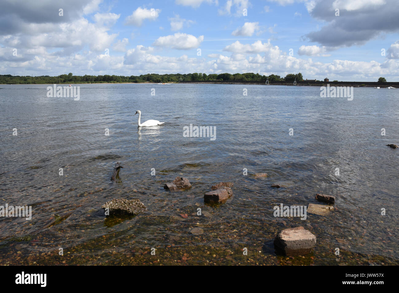 Chasewater Country Park High Resolution Stock Photography and Images ...