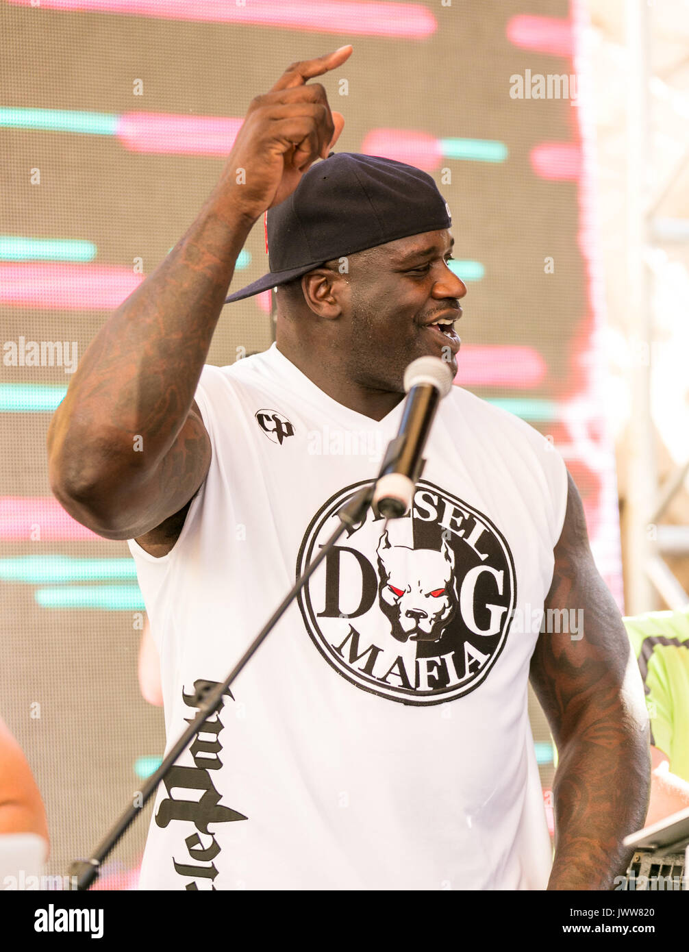 Las Vegas, NV, USA. 13th Aug, 2017. ***HOUSE COVERAGE*** DJ Diesel aka ...