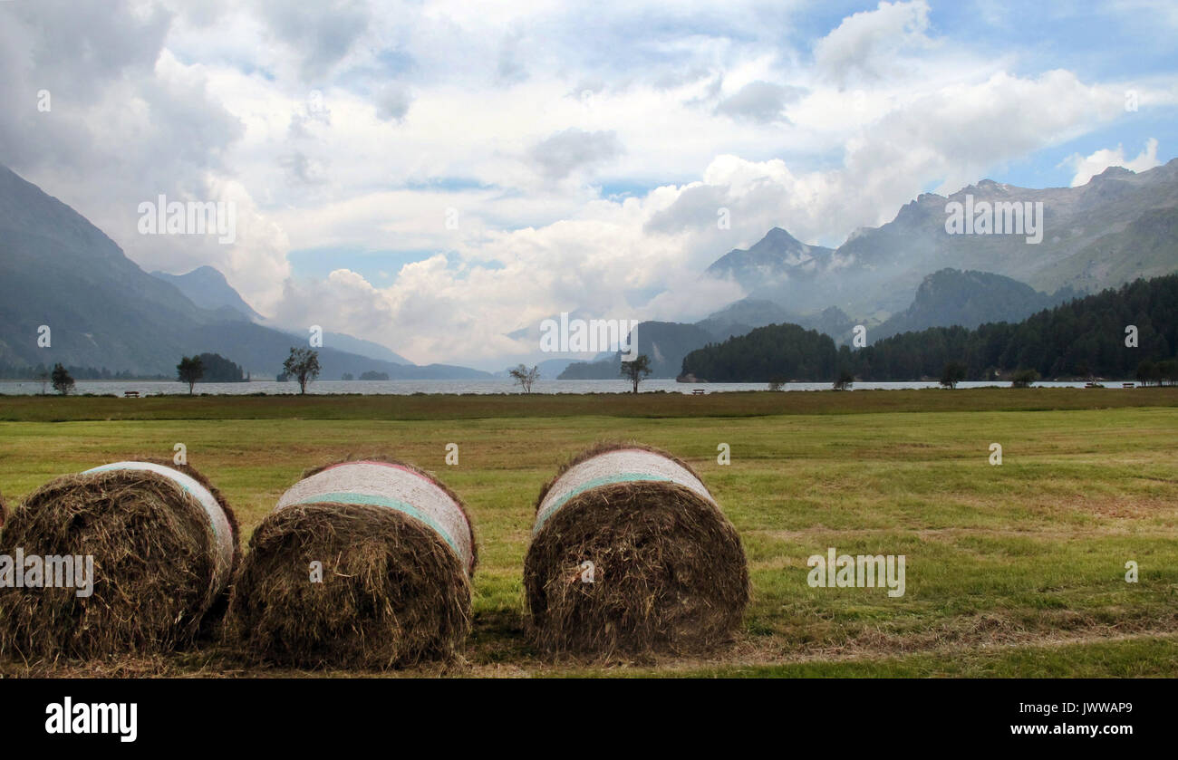 Sils Maria, Switzerland. 20th July, 2017. Almost like a painting ...