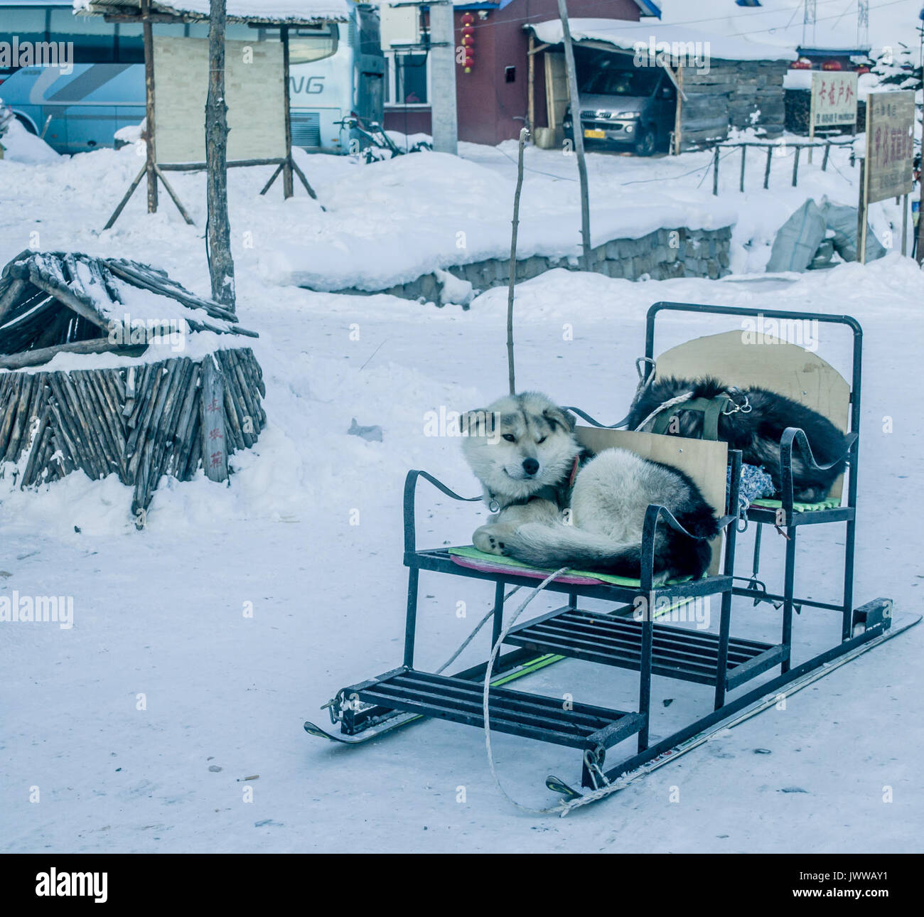 Harbin, China. 14th Aug, 2017. Winter scenery of Harbin in northeast ...