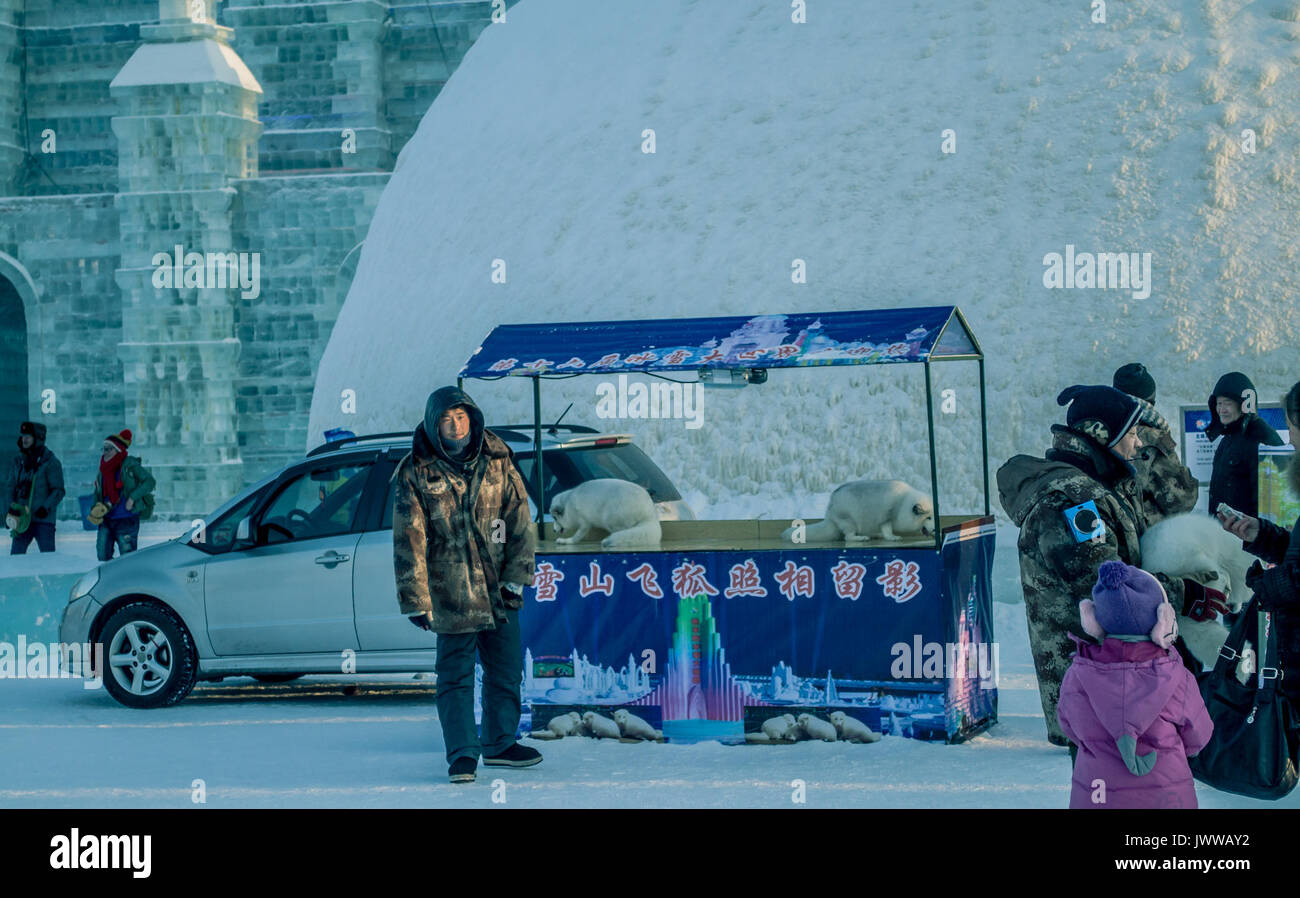 Harbin, China. 14th Aug, 2017. Winter scenery of Harbin in northeast ...