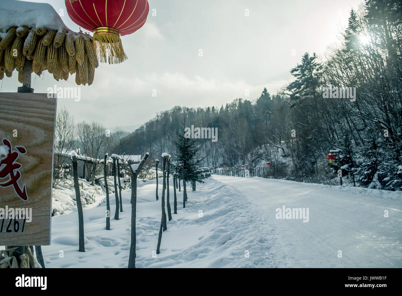 Harbin, China. 14th Aug, 2017. Winter scenery of Harbin in northeast ...