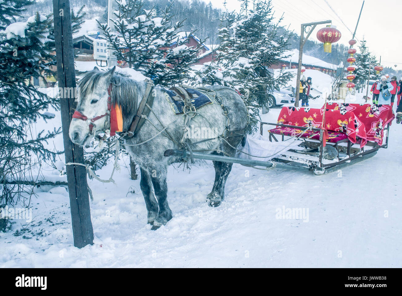 Harbin, China. 14th Aug, 2017. Winter scenery of Harbin in northeast ...