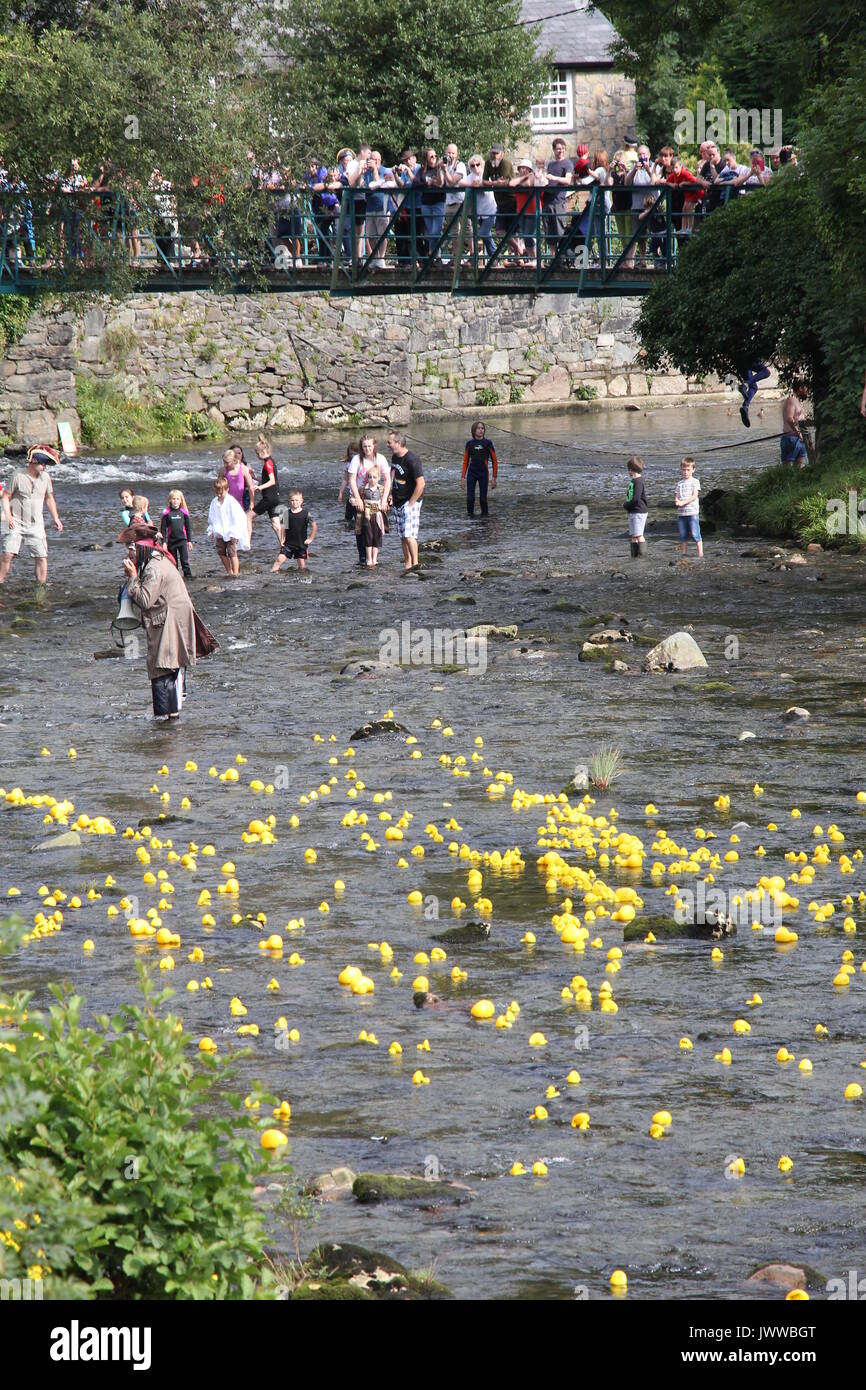 Beddgelert, UK. 13th Aug, 2017. People enjoy the annual rubber duck ...