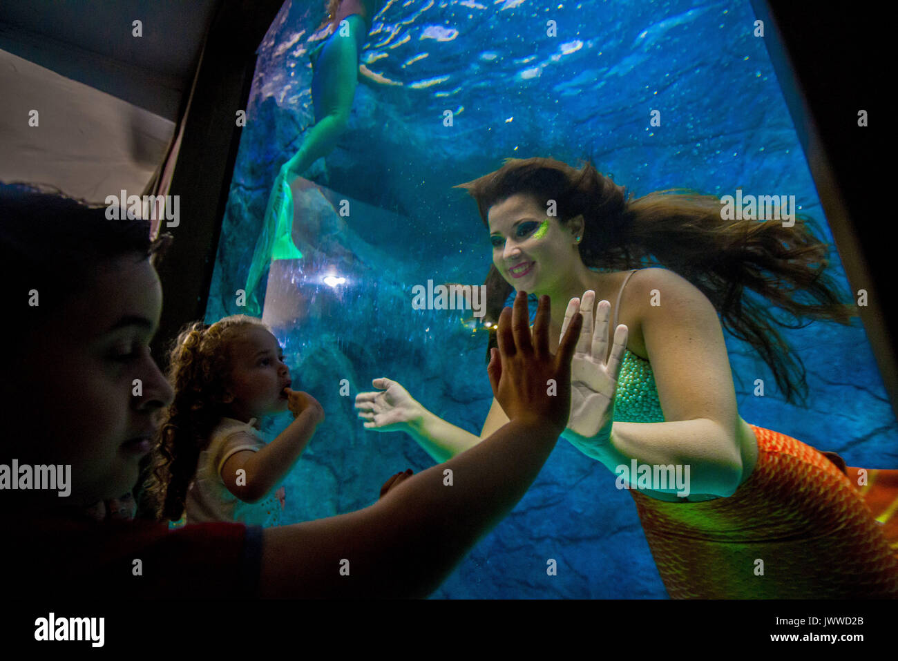 Sao Paulo, Brazil. 14th August, 2017. Visitors watch several mermaids ...