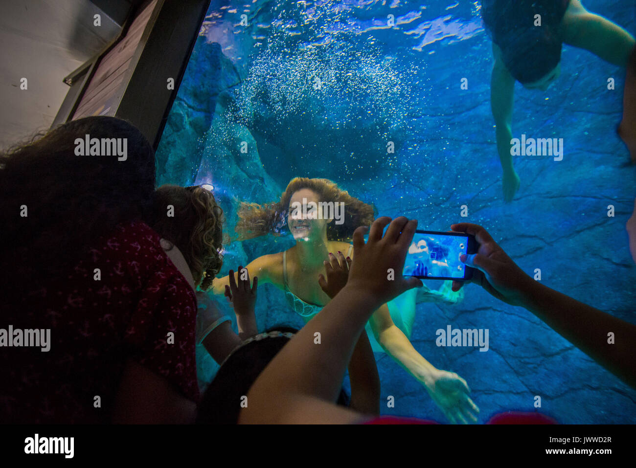 Sao Paulo, Brazil. 14th August, 2017. Visitors watch several mermaids ...
