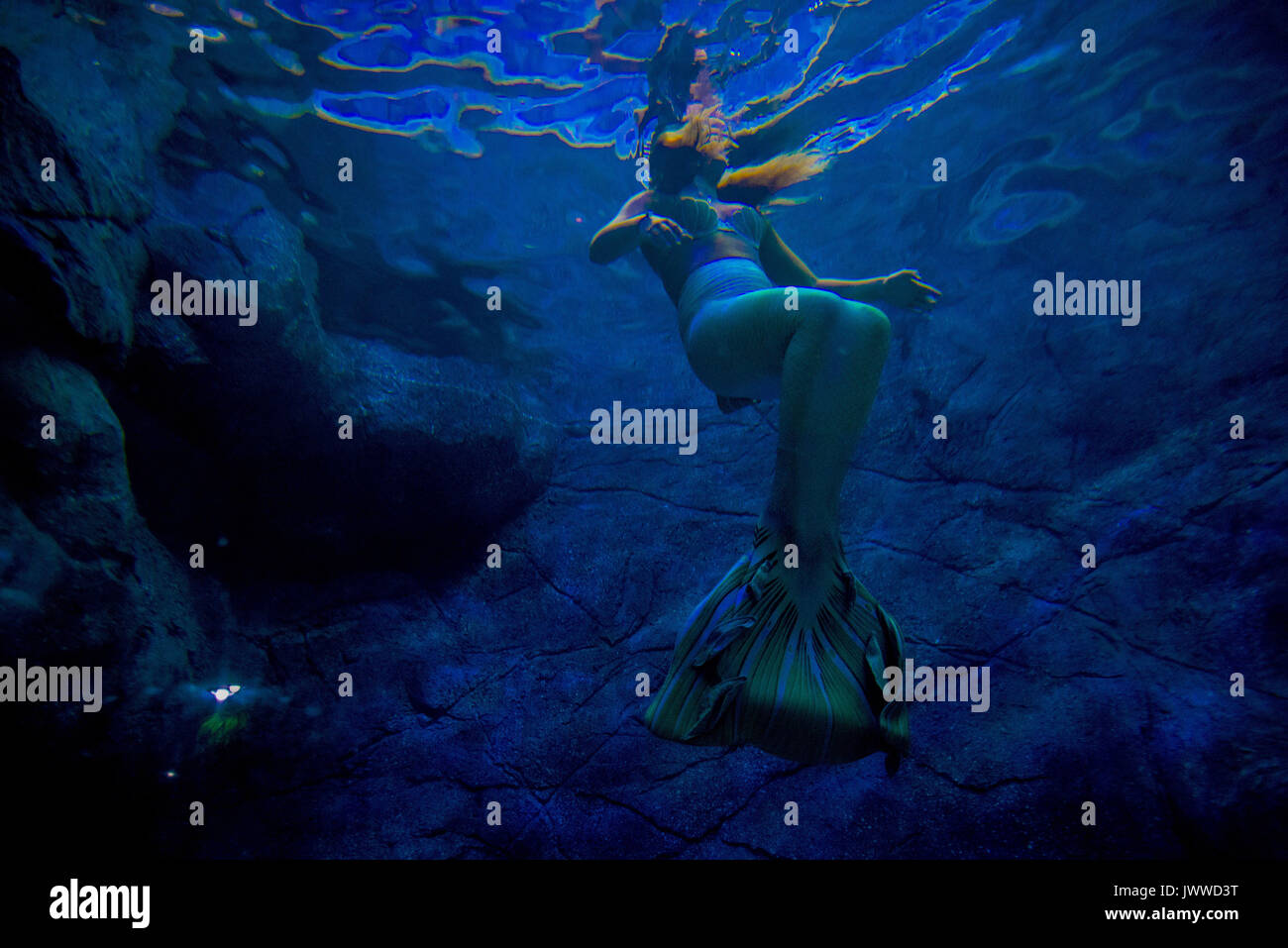 Sao Paulo, Brazil. 14th August, 2017. Visitors watch several mermaids ...