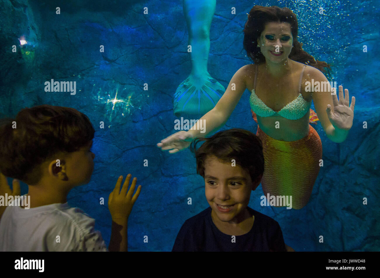 Sao Paulo, Brazil. 14th August, 2017. Visitors watch several mermaids ...