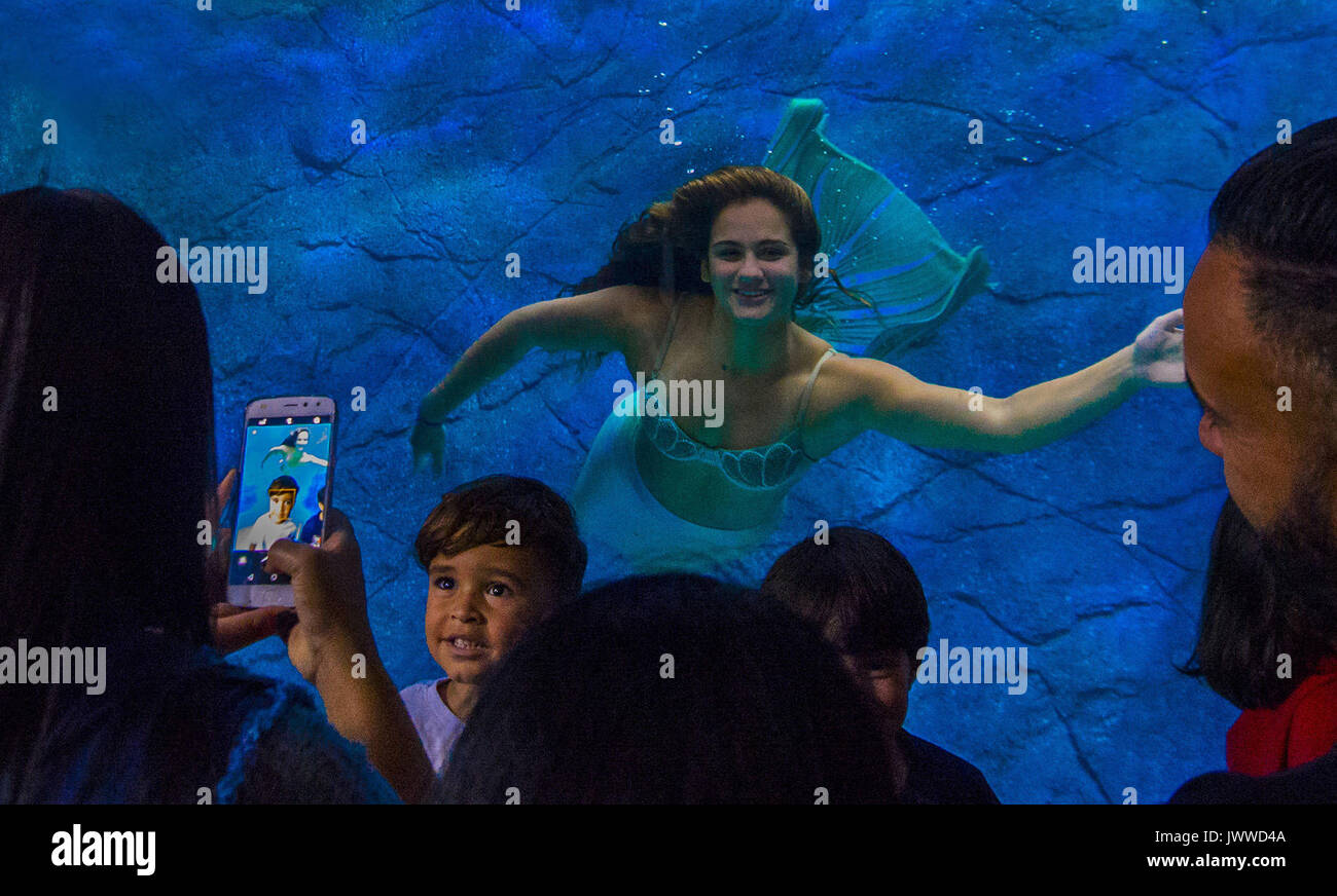 Sao Paulo, Brazil. 14th August, 2017. Visitors watch several mermaids ...