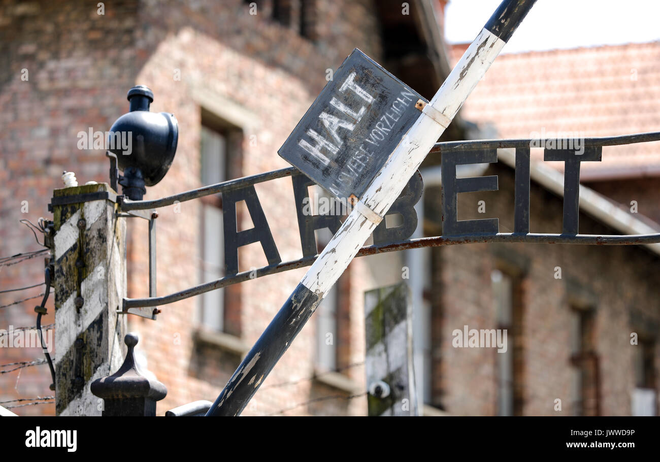 A view of the gate with the writing "Work brings freedom" on it in the ...