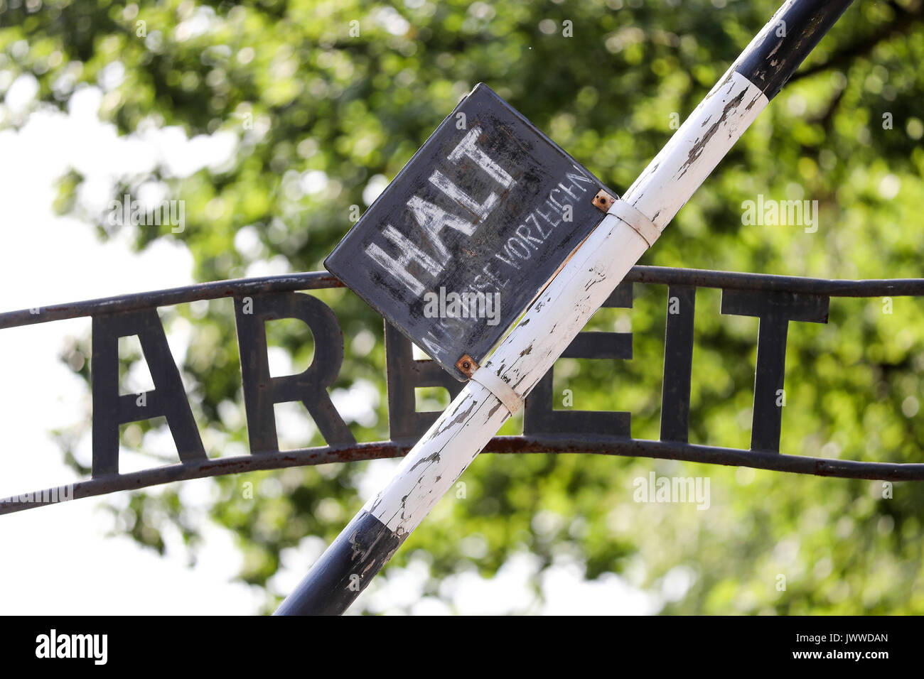 A view of the gate with the writing "Work brings freedom" on it in the ...