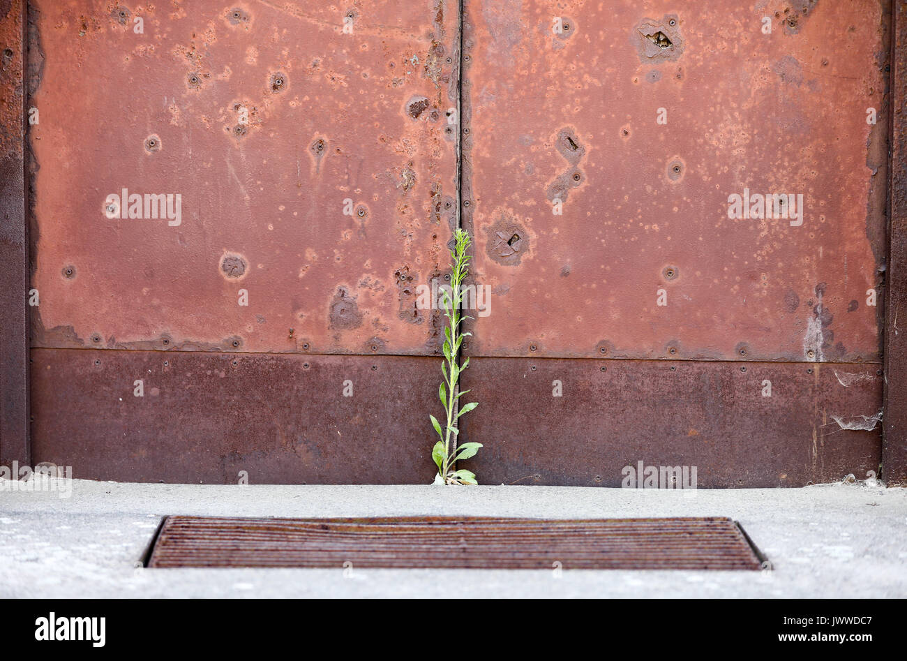 Camp auschwitz 1943 hi-res stock photography and images - Alamy