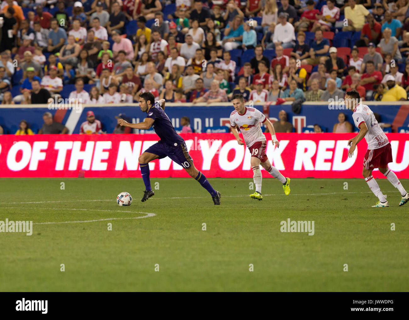 10 Kaka High Resolution Stock Photography and Images - Alamy