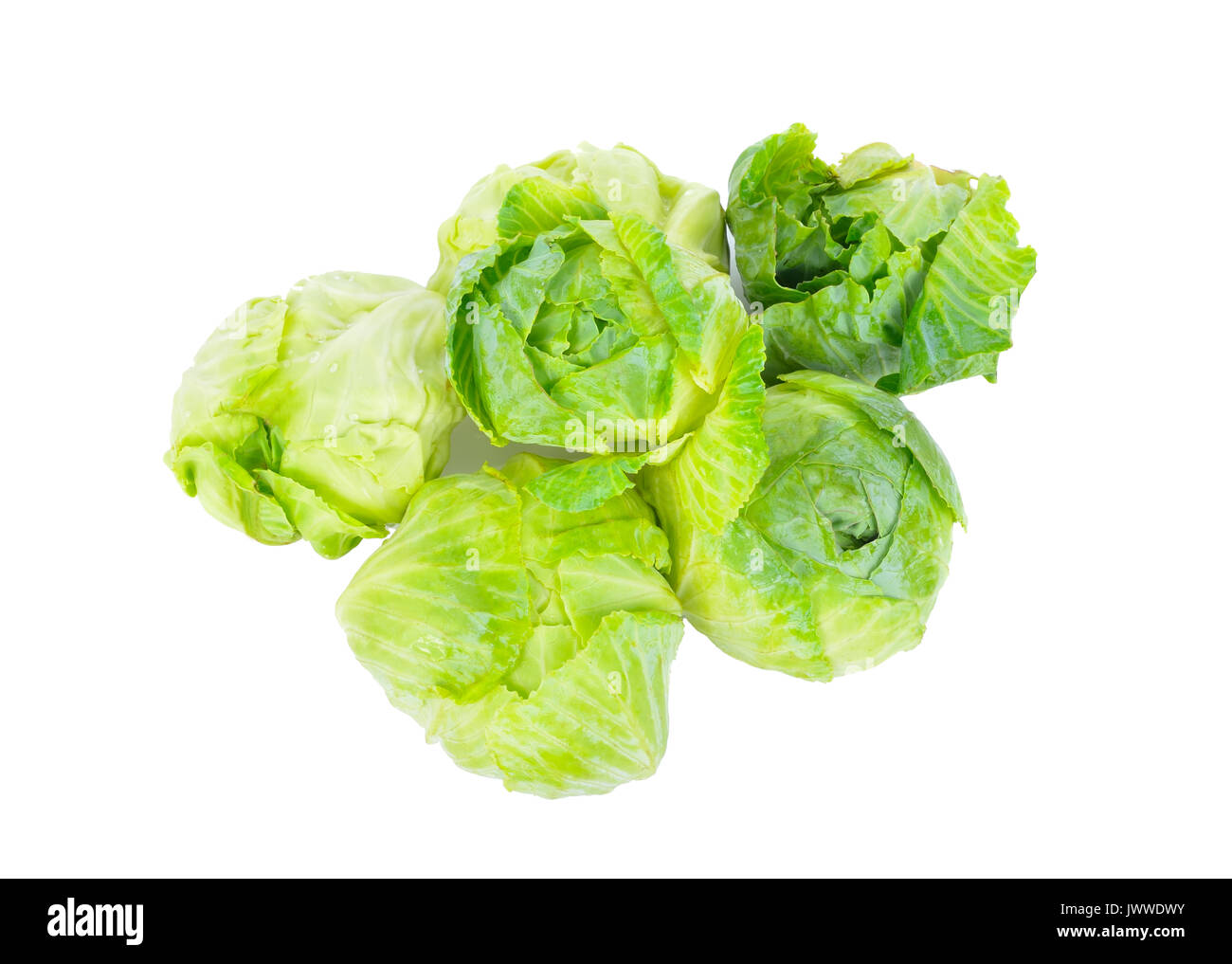 Cabbages Cut Out Stock Images & Pictures - Alamy