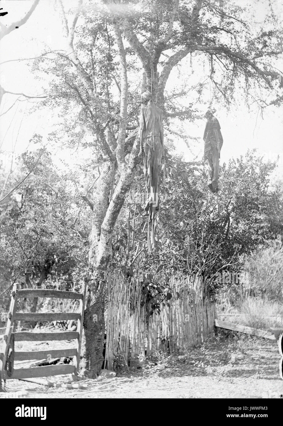 Hanging from tree Black and White Stock Photos & Images - Alamy