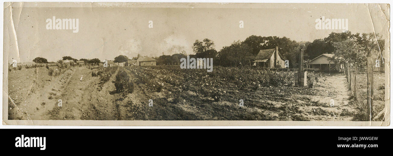 Sharecropper hi-res stock photography and images - Alamy