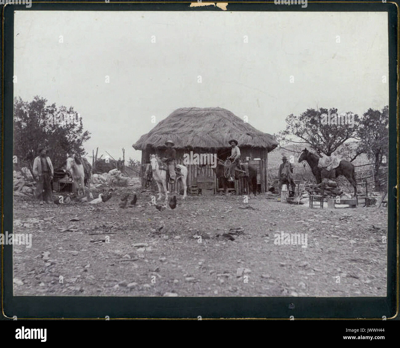 Cowboys in front of small house with thatch roof on ranch Stock Photo ...