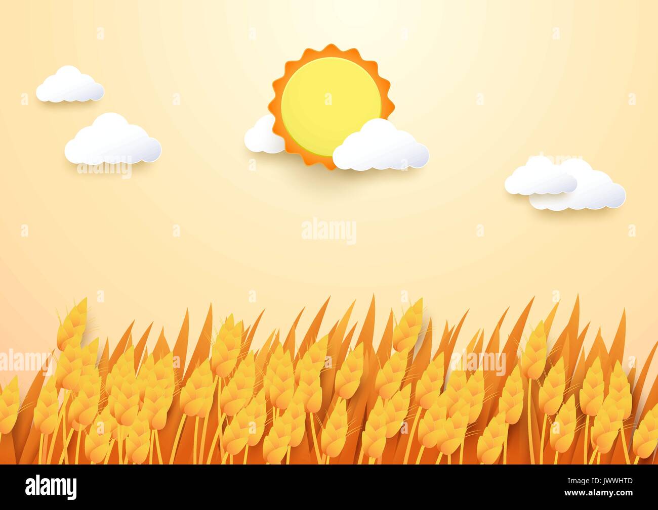 Rice field nature background Stock Vector Images - Alamy