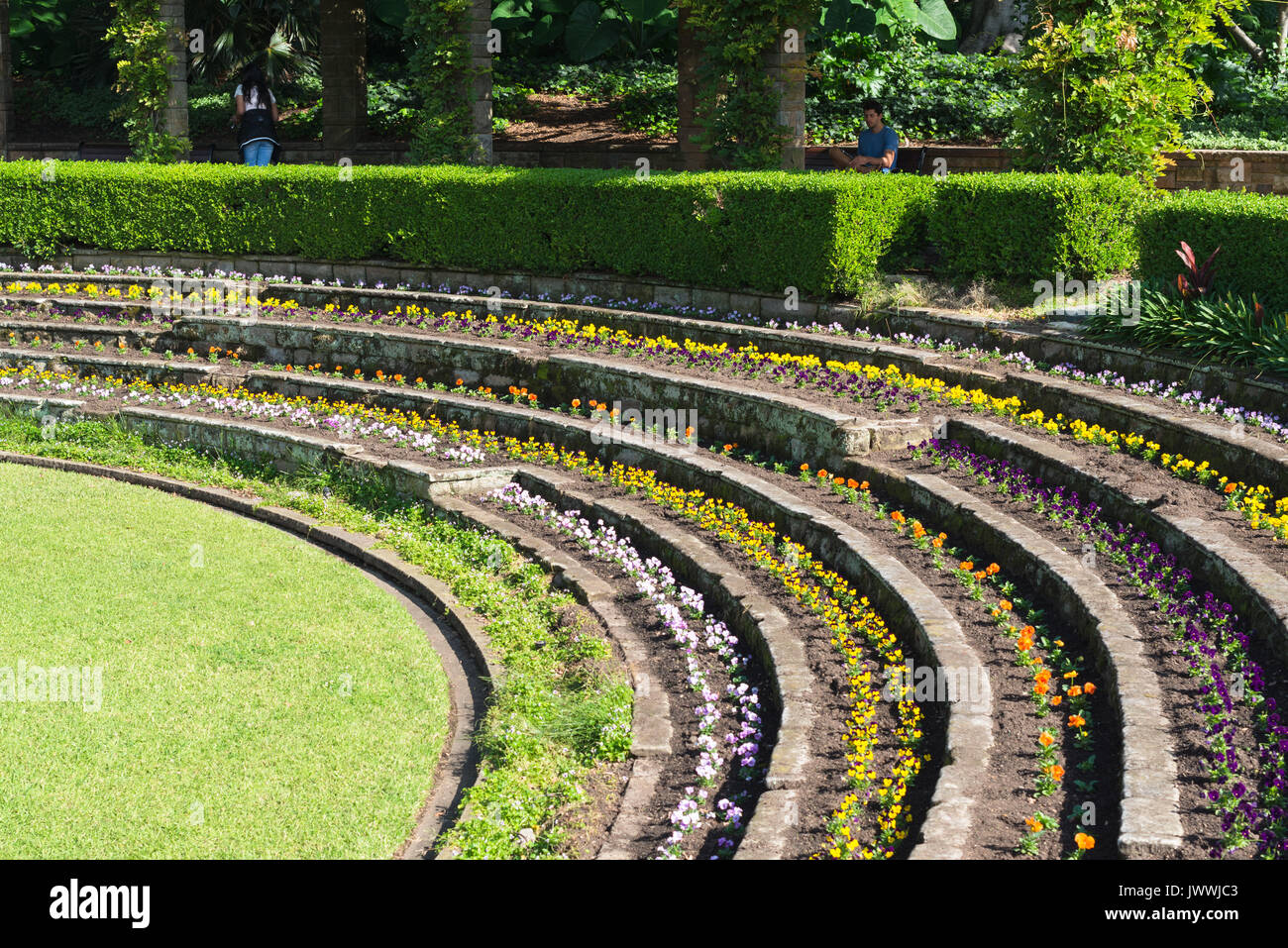 Sandringham Gardens, Hyde Park, Sydney, Australia Stock Photo - Alamy