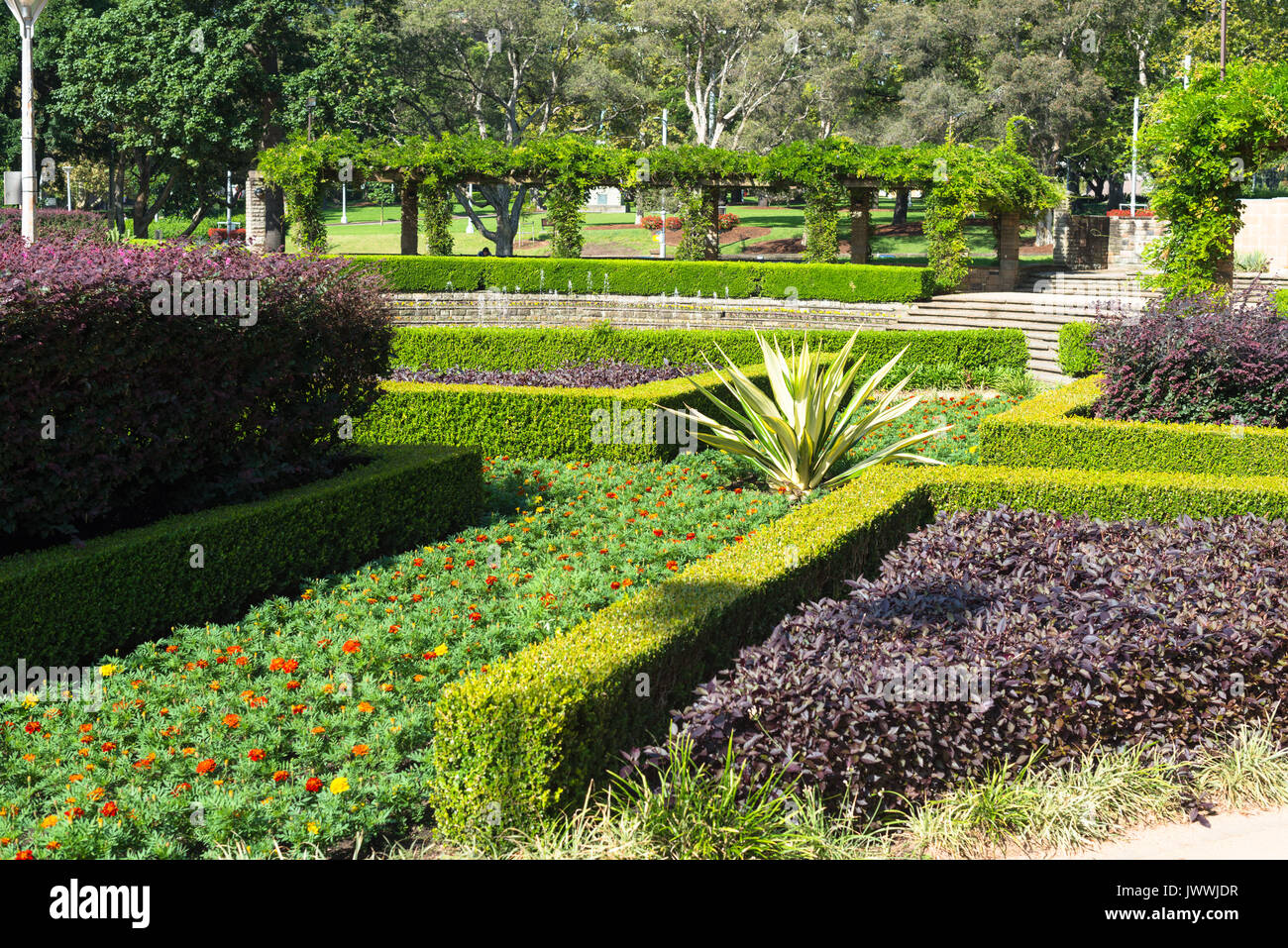 Sandringham Gardens, Hyde Park, Sydney, Australia Stock Photo - Alamy