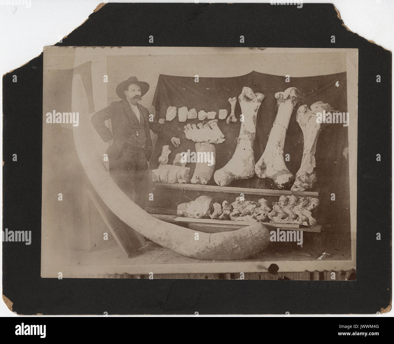 W Thornton High Resolution Stock Photography and Images - Alamy