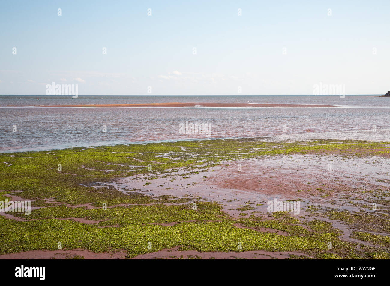 Victoria sea harbour prince hi-res stock photography and images - Alamy