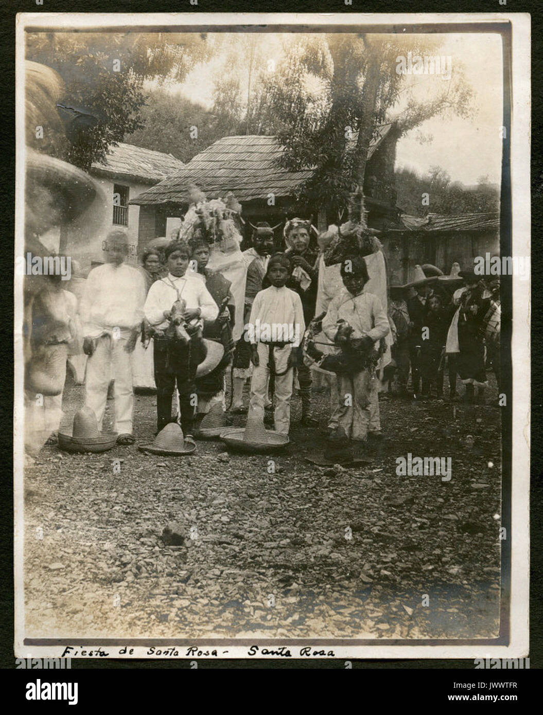 Rosa th hi-res stock photography and images - Alamy