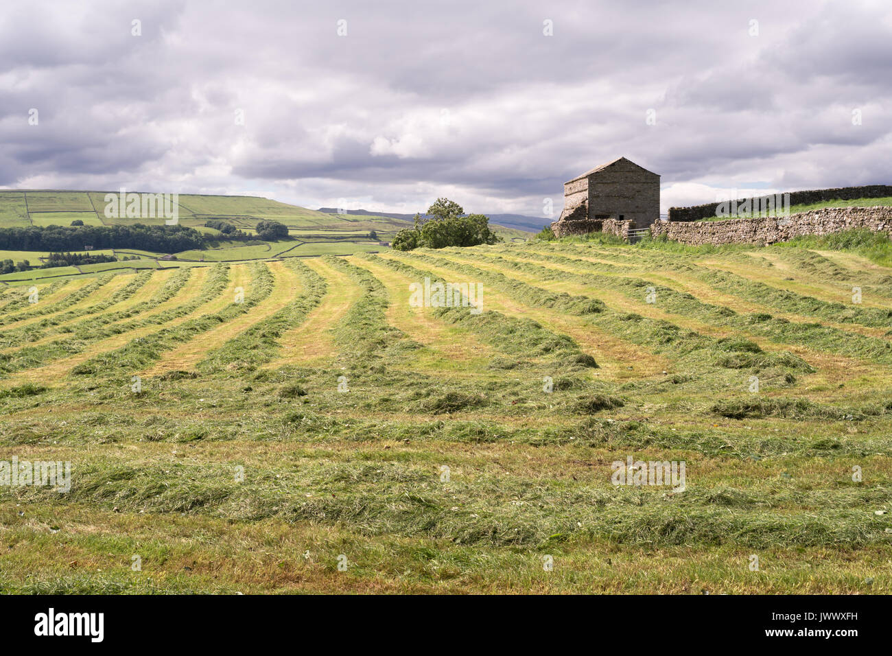 Swathes hi-res stock photography and images - Alamy