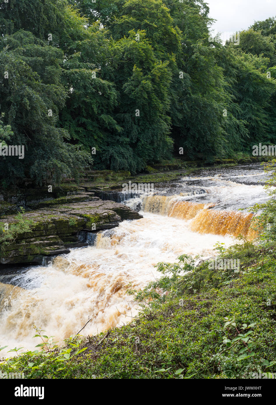 Nobody aysgarth falls waterfall yorkshire dales river ure hi-res stock ...