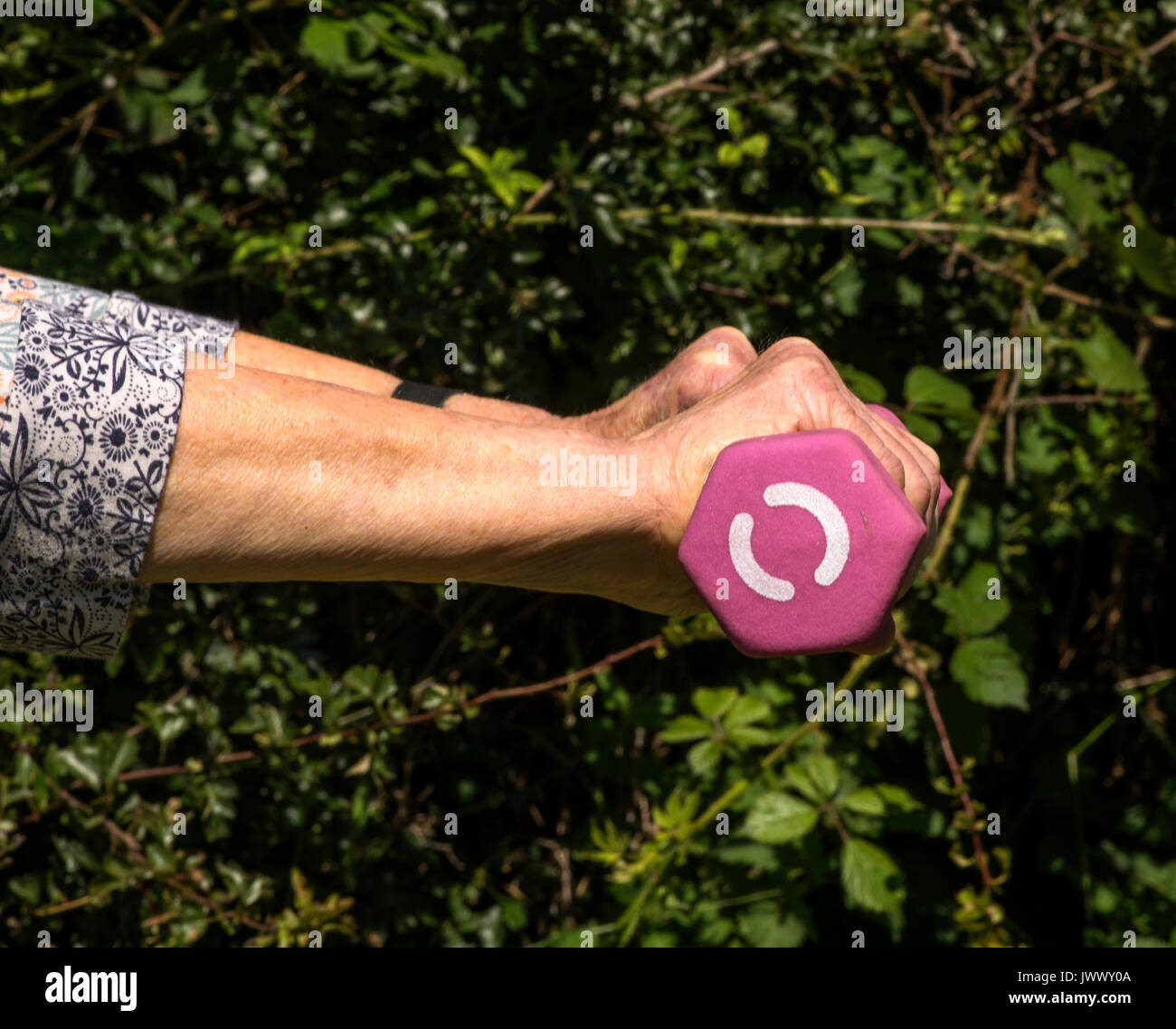 Bumb hi-res stock photography and images - Alamy